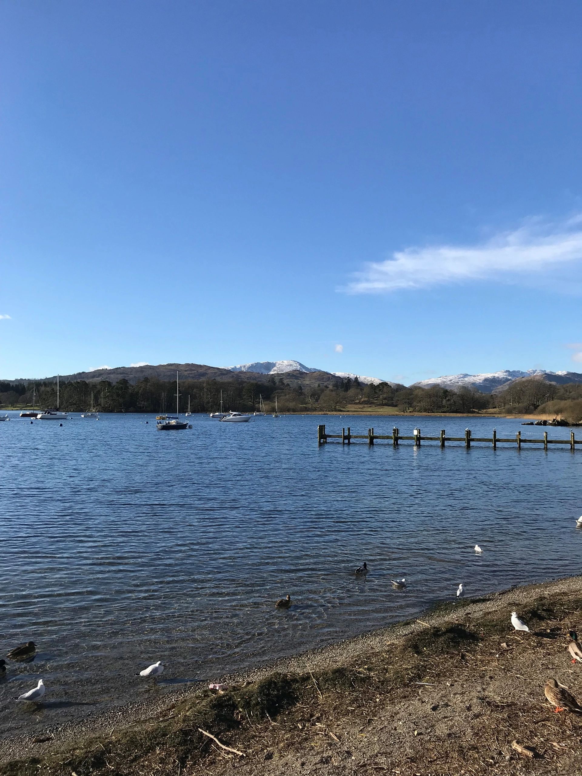 Craig Cottage, Windermere, Lake District