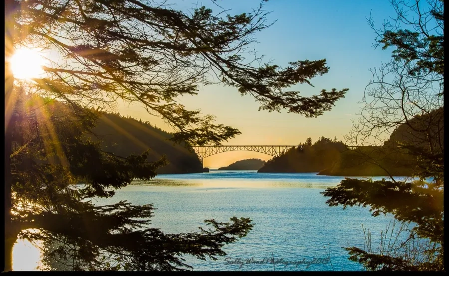 Experienced Tax Preparer Services - Precision Tax & Accounting LLC