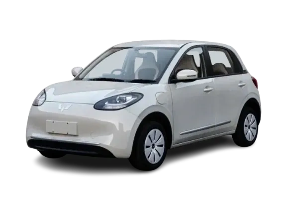 Wuling Bingo 2024