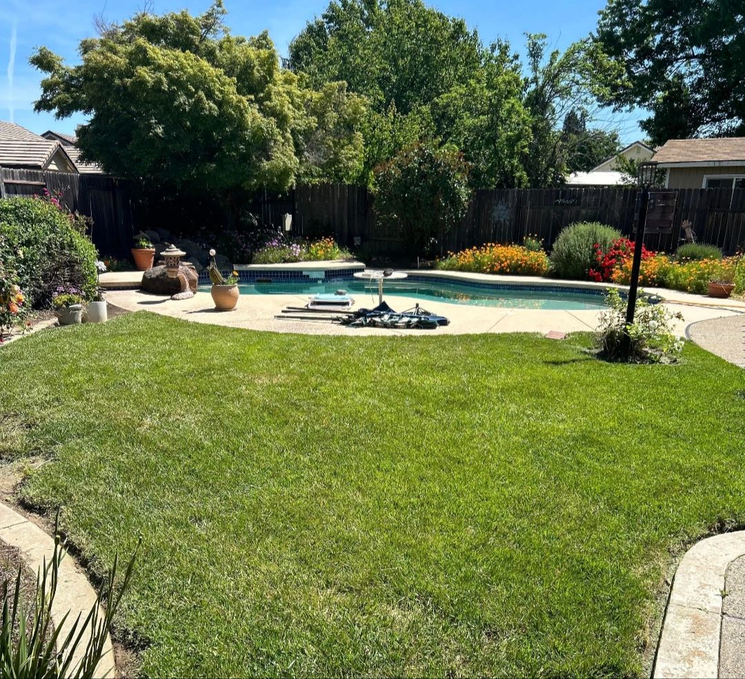 Sanchez Clean Cut - Yard Waste Removal, Cleanouts, Junk Removal