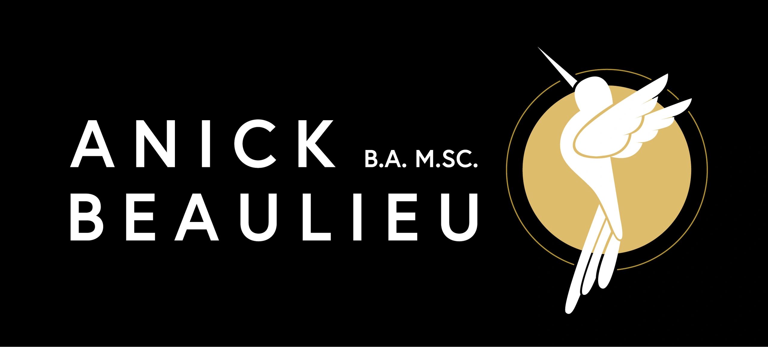 Anick Beaulieu - Accueil