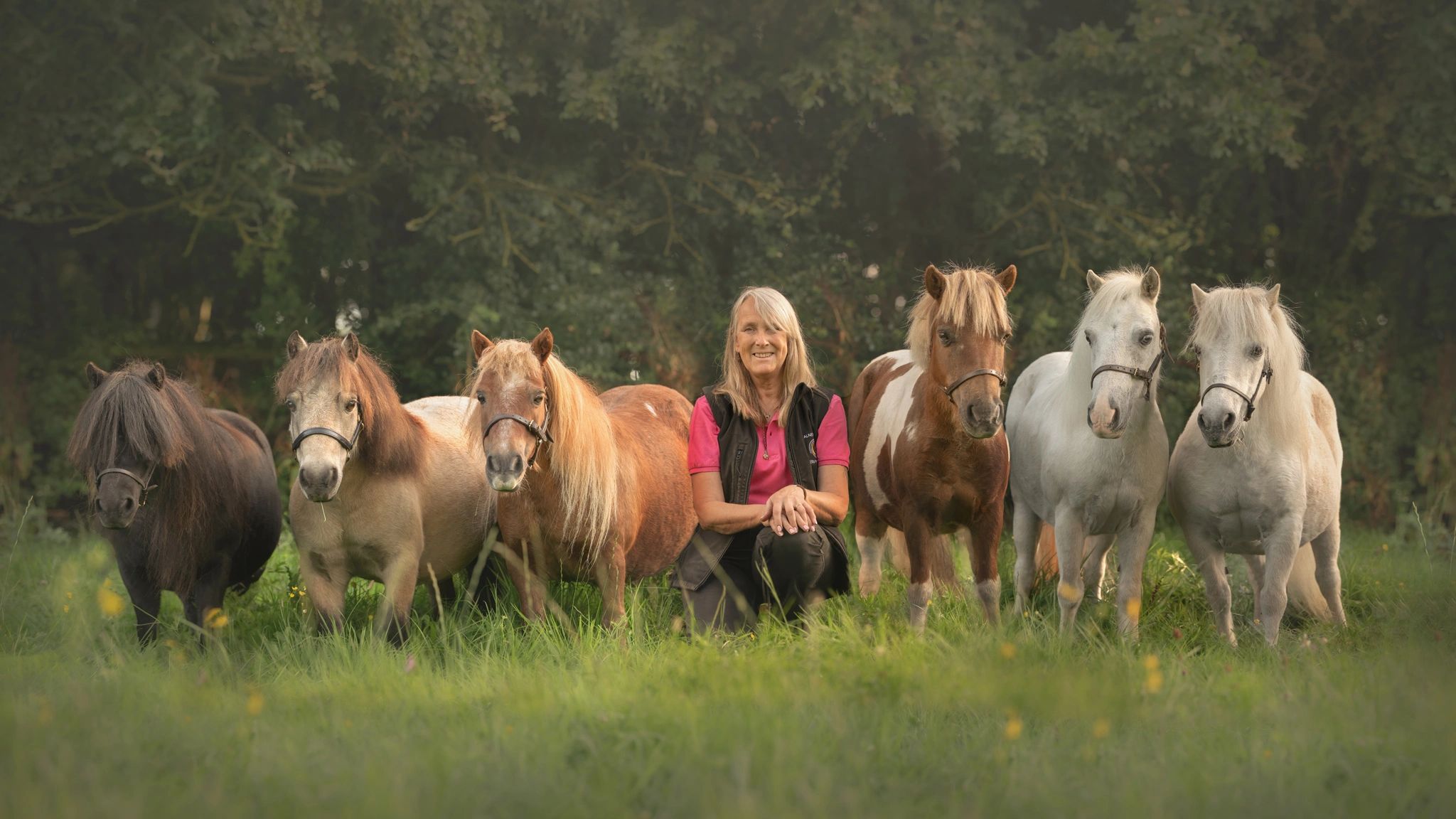 Alnewood Therapy Ponies - Therapy Ponies - Worcester, England