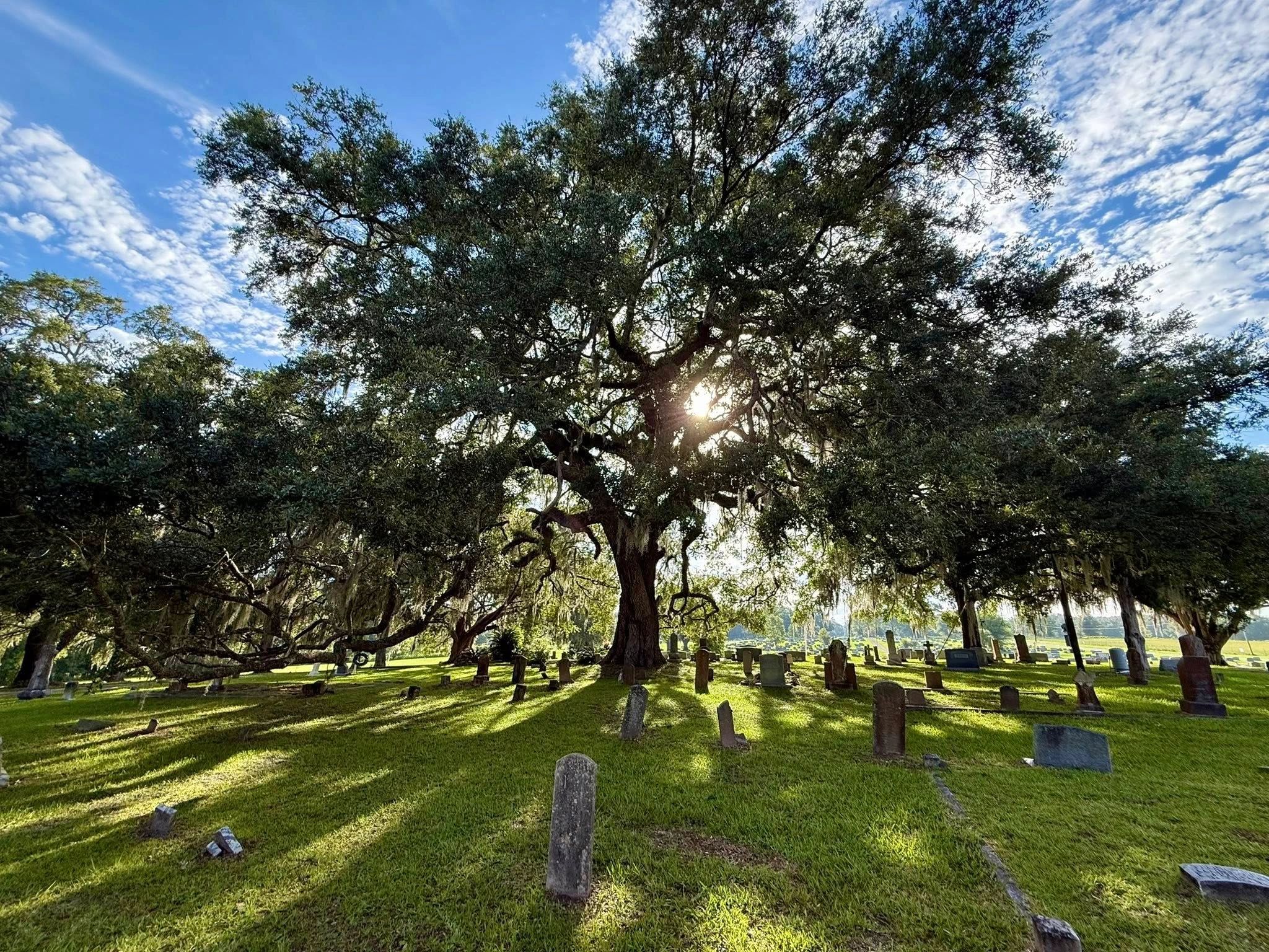Orange Hill Cemetery