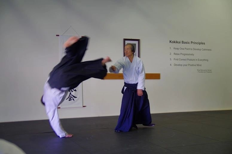 Your Aikido Life Cycle | City Aikido Boston