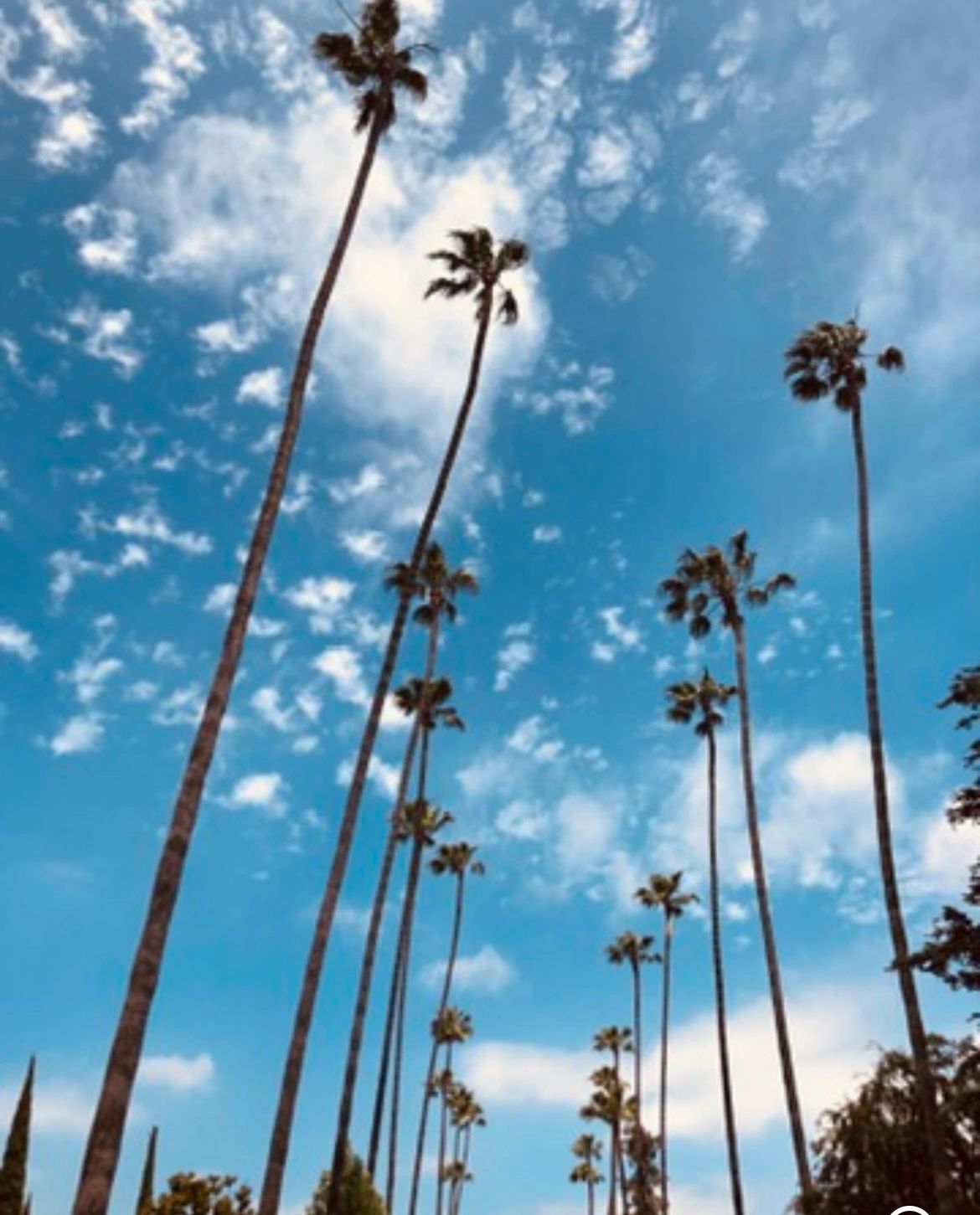 LaCoffeeReading - Reading Coffee Grounds, Coffee Cup Reading, Coffee ...