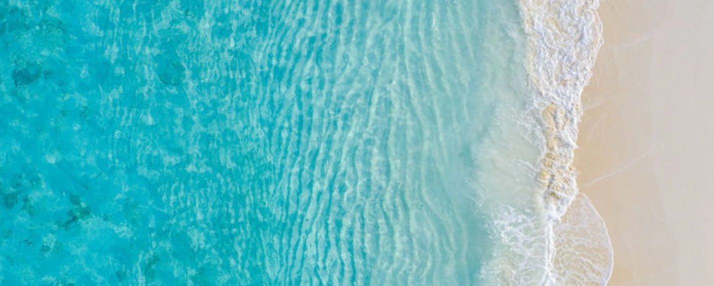 Ambition Zero Advisory