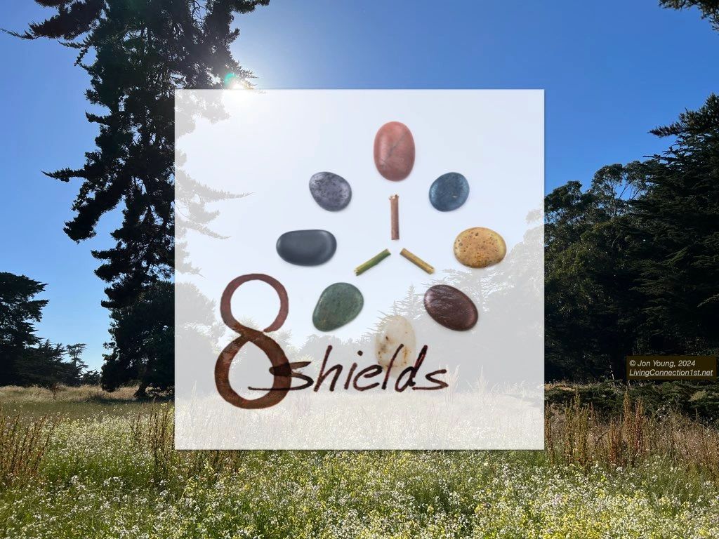 8 Shields