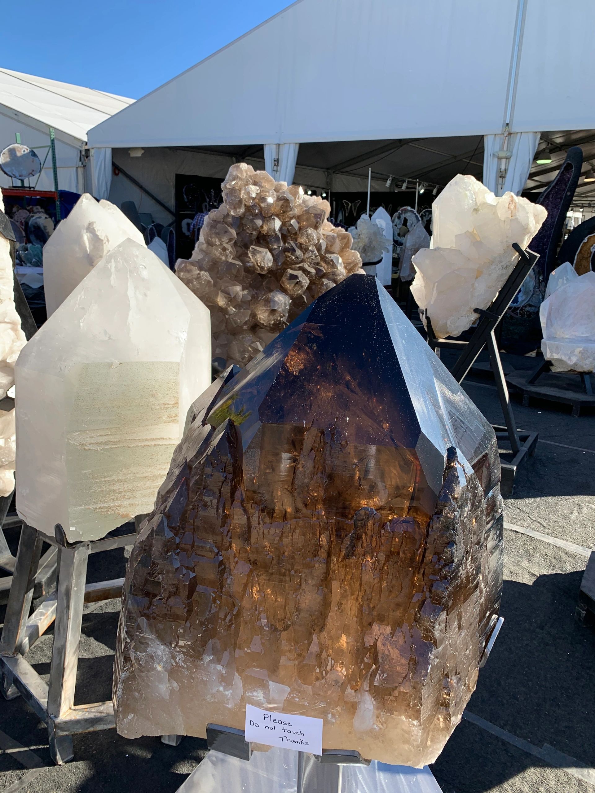 Morgan Mint LLC. - Collectibles, Rarities