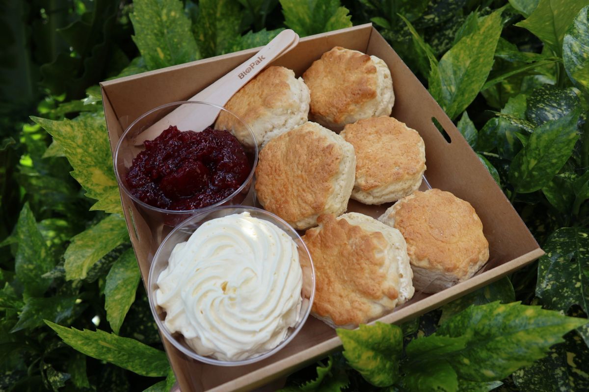 Gourmet Scones with Jam & Cream