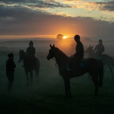 PHOTOGRAPHS | Rebecca Menzies Racing