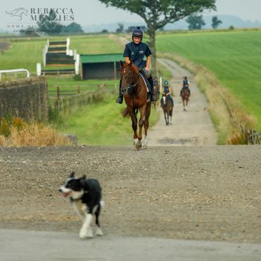 PHOTOGRAPHS | Rebecca Menzies Racing