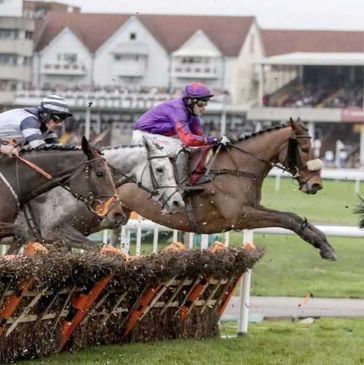 Rebecca Menzies Racing - Racehorse Trainer, Horse Racing | Rebecca ...