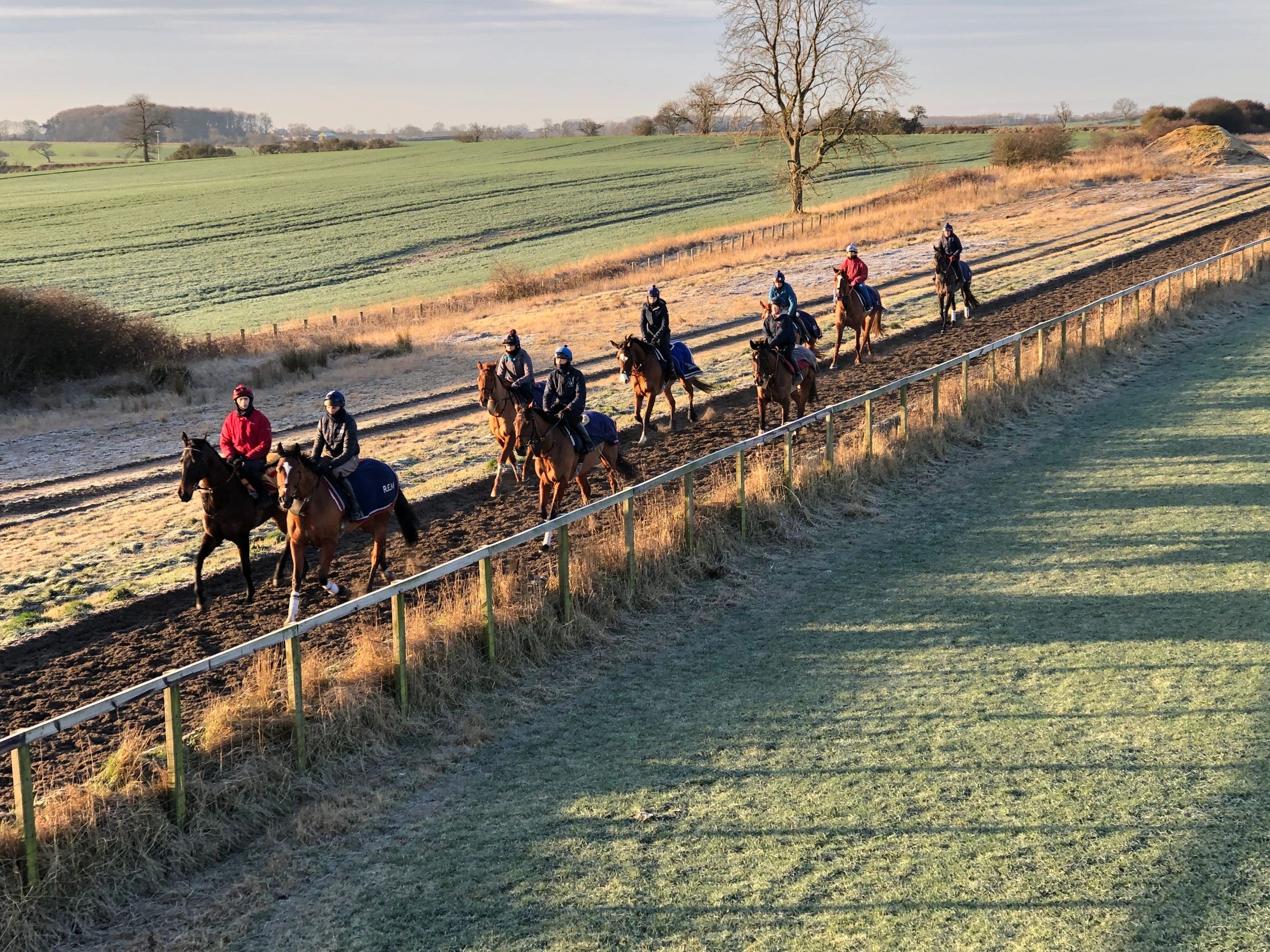 Rebecca Menzies Racing - Racehorse Trainer, Horse Racing | Rebecca ...