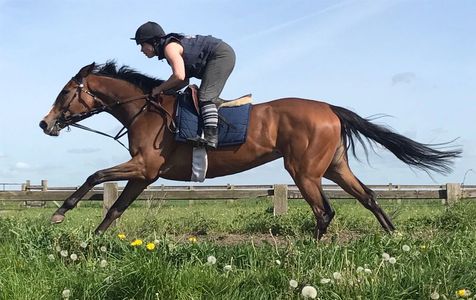 FACILITIES | Rebecca Menzies Racing