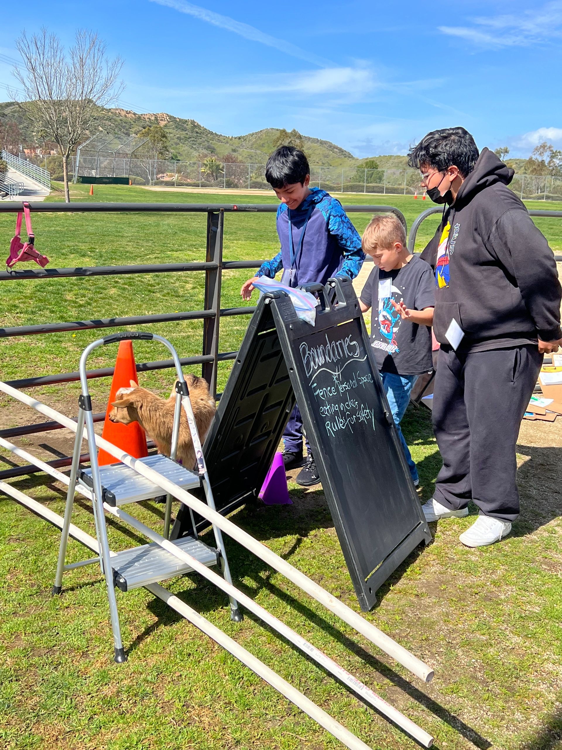 SRD Straightening Reins - Equine Assisted Therapy Programs