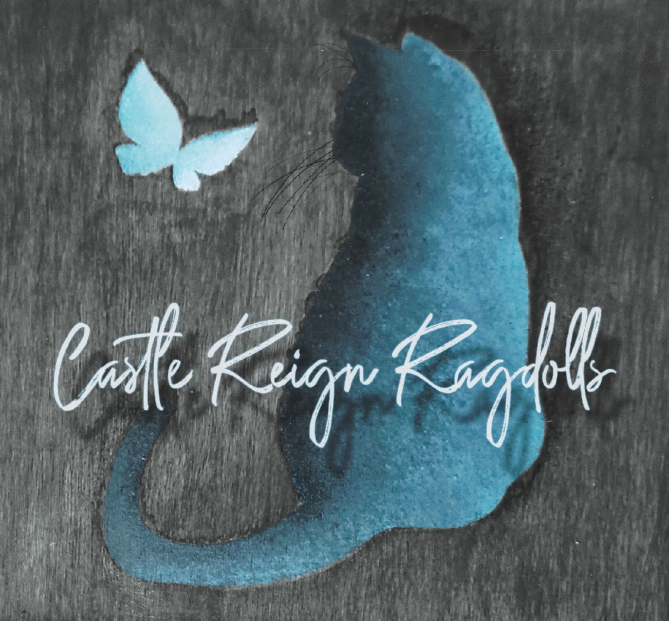 Available kittens/cats