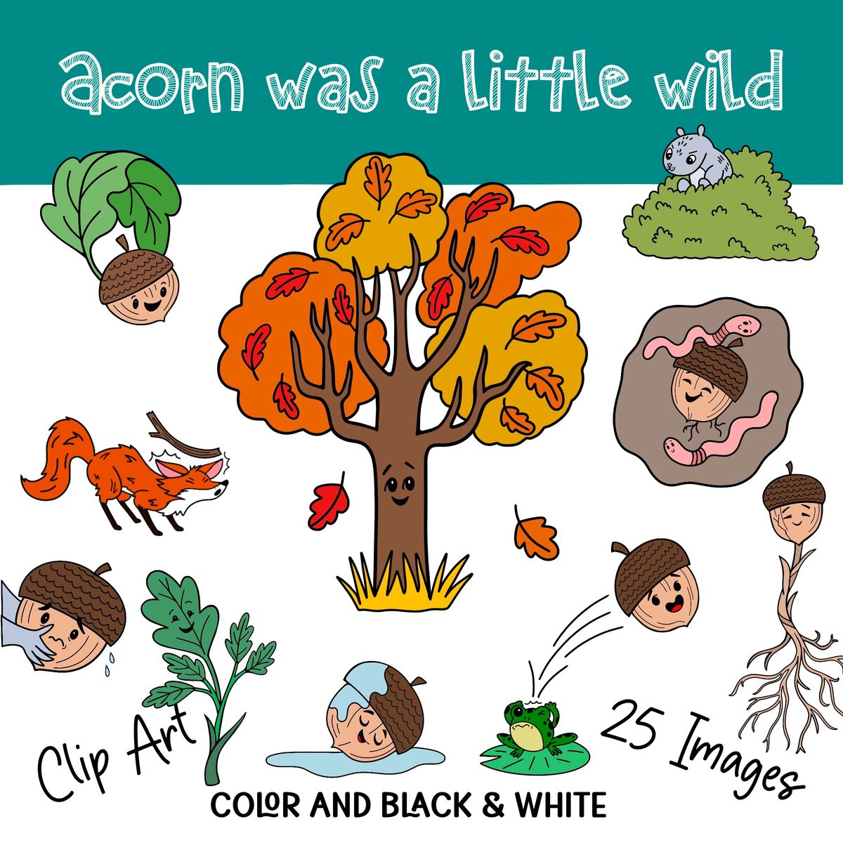 Acorn was a little wild storybook clipart