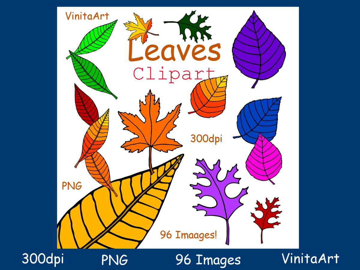 Leaves, clipart, Autumn, fall, Leaf hunt, 96 images, commercial use