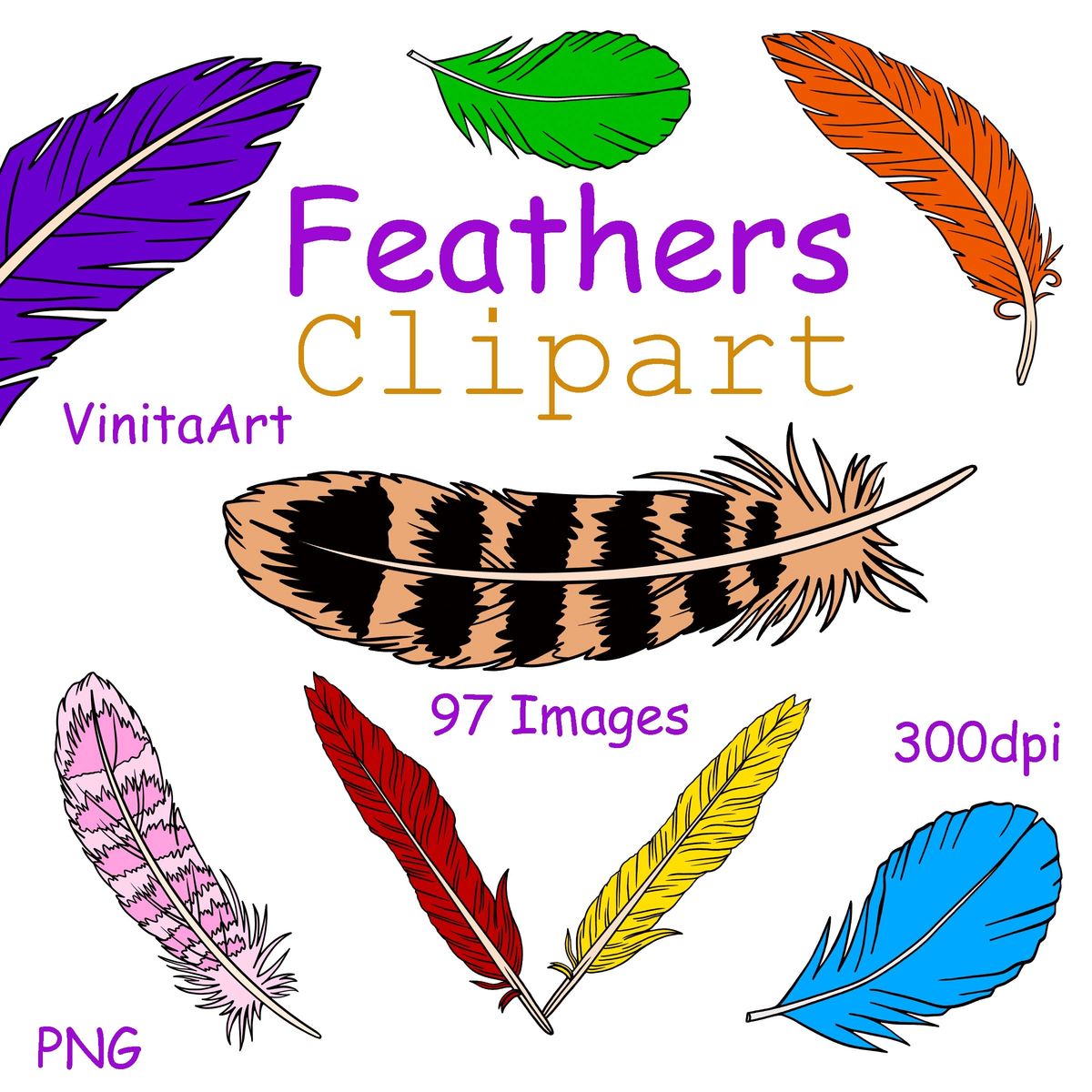 Feather clipart, feathers, clip art, printable, digital download