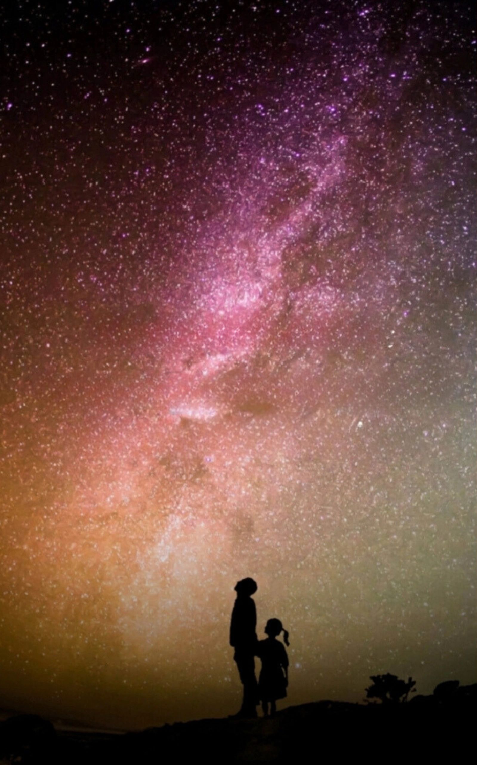 Home Tuition Services - Expert Academic Guidance & Tutors