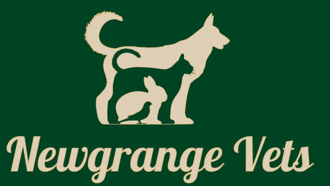Meet the Team | Newgrange Vets