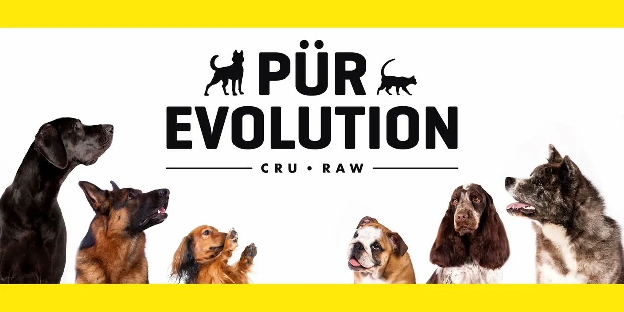 PUR EVOLUTION