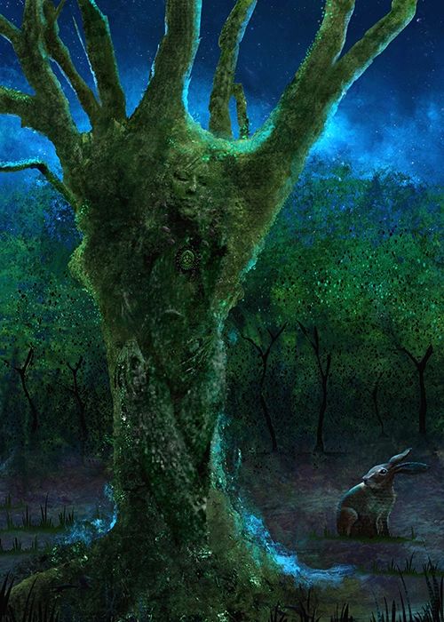 Photo Gallery | Land of the Witches