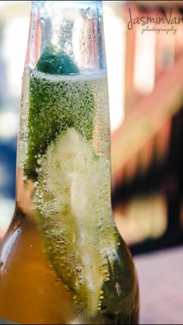 Moosehill Cantina and Catering - Mexican, Catering