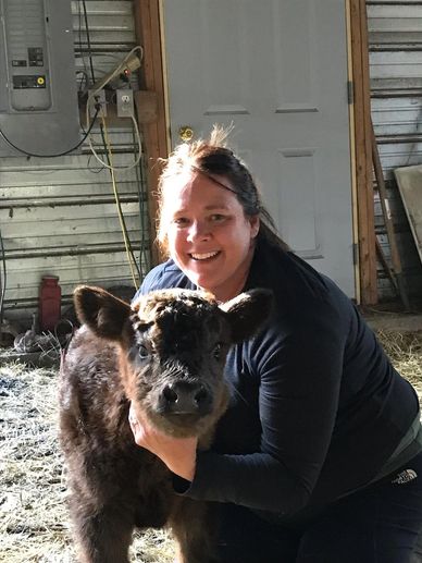 Available Mini Highlands