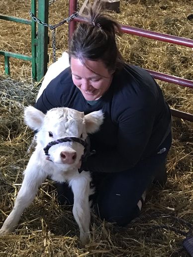 Available Mini Highlands