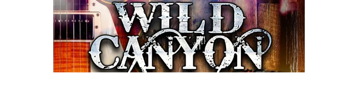 Wild Band - Live Music from Wild Canyon Band