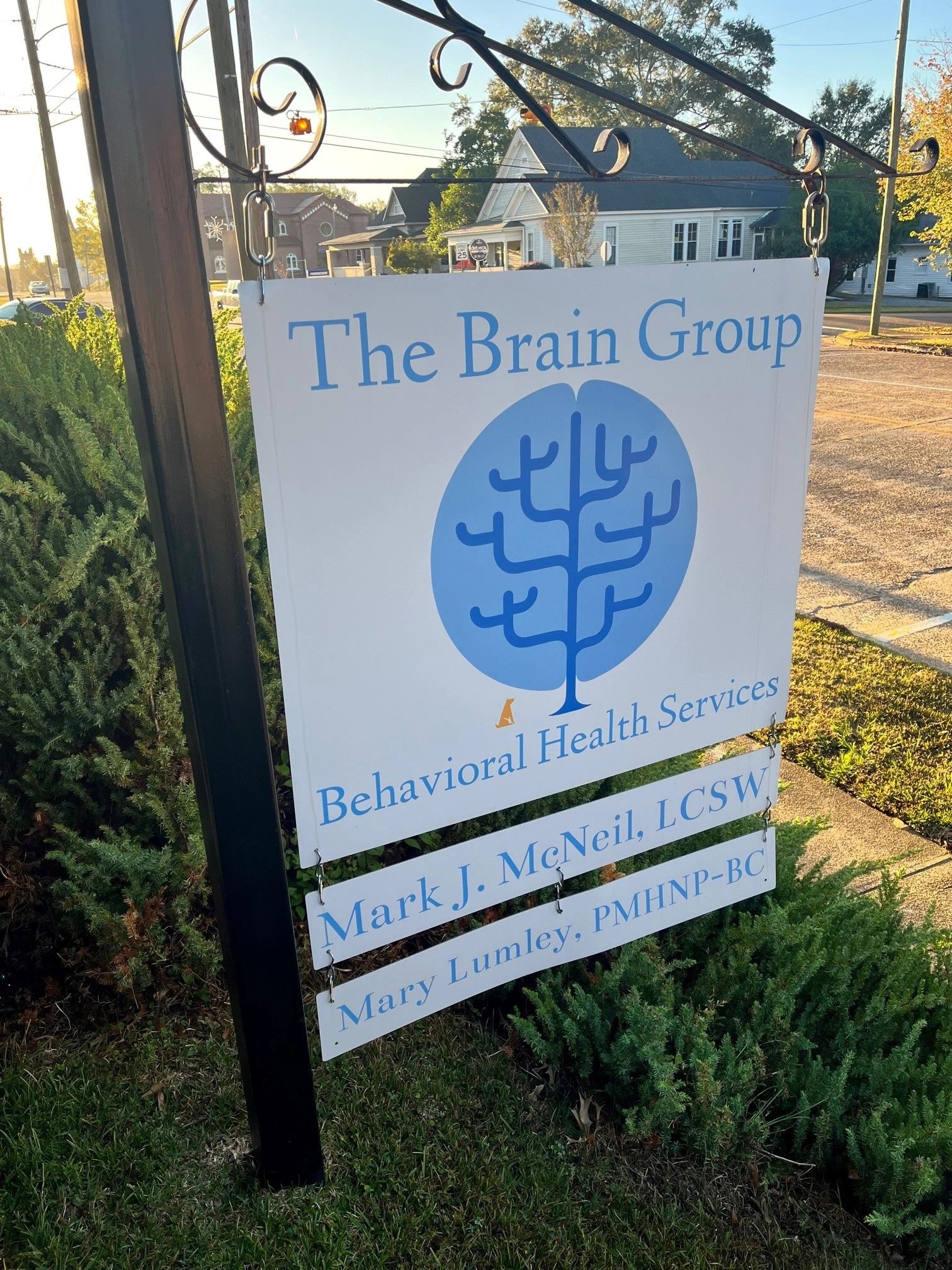 The Brain Group