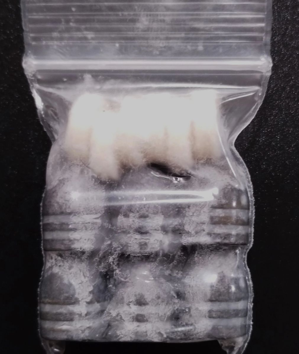 Conical Round Samples