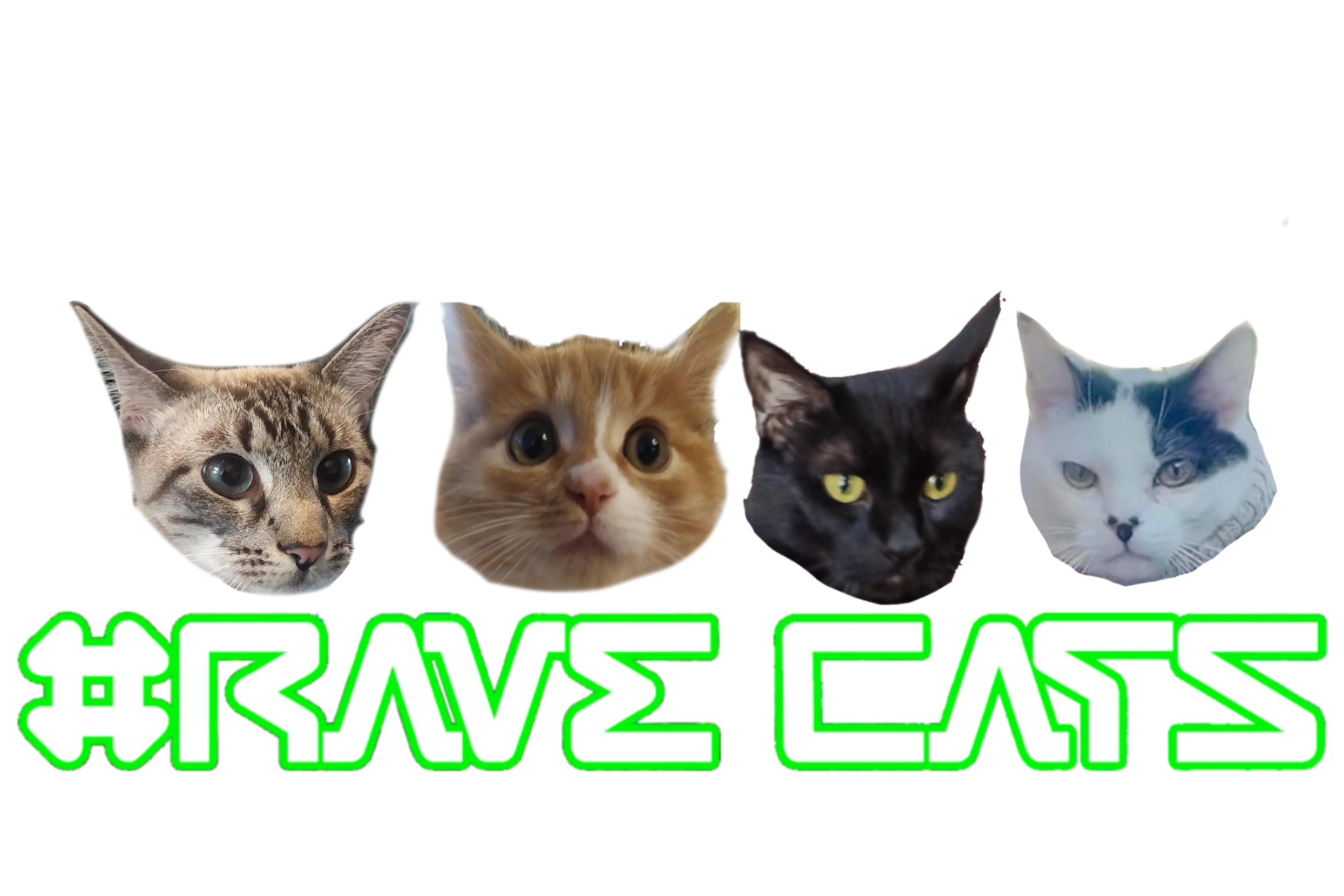 The Rave Cats