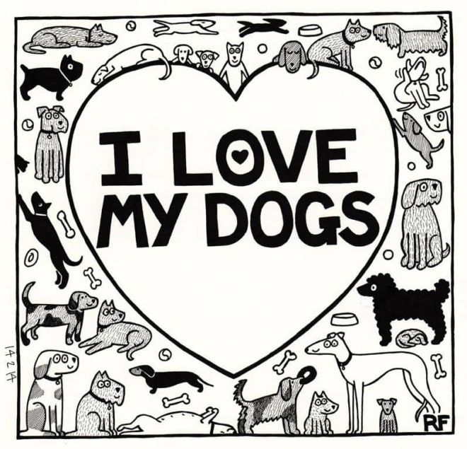 KSchott Kennels - Goldendoodle, Puppies