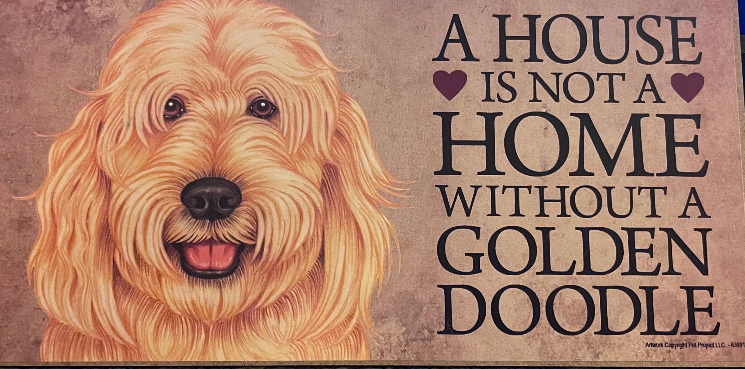 KSchott Kennels - Goldendoodle, Puppies