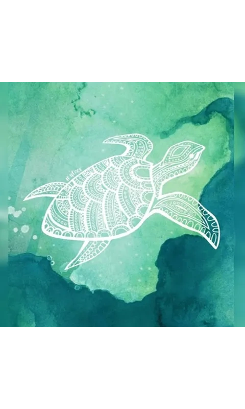 Little Green Turtle Co