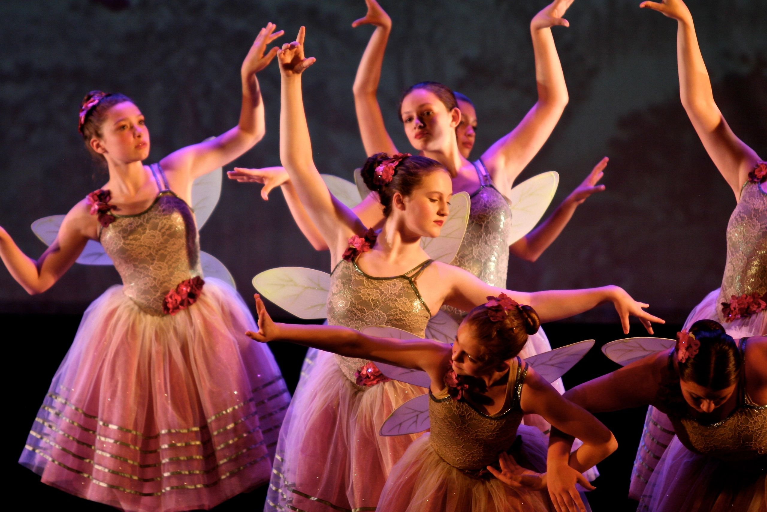 OPEN HOUSE | Monadnock Academy of Movement Arts