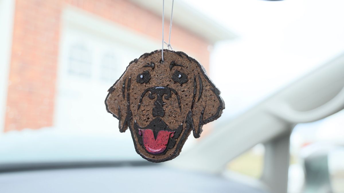 Berry Vanilla Lab Car Freshie