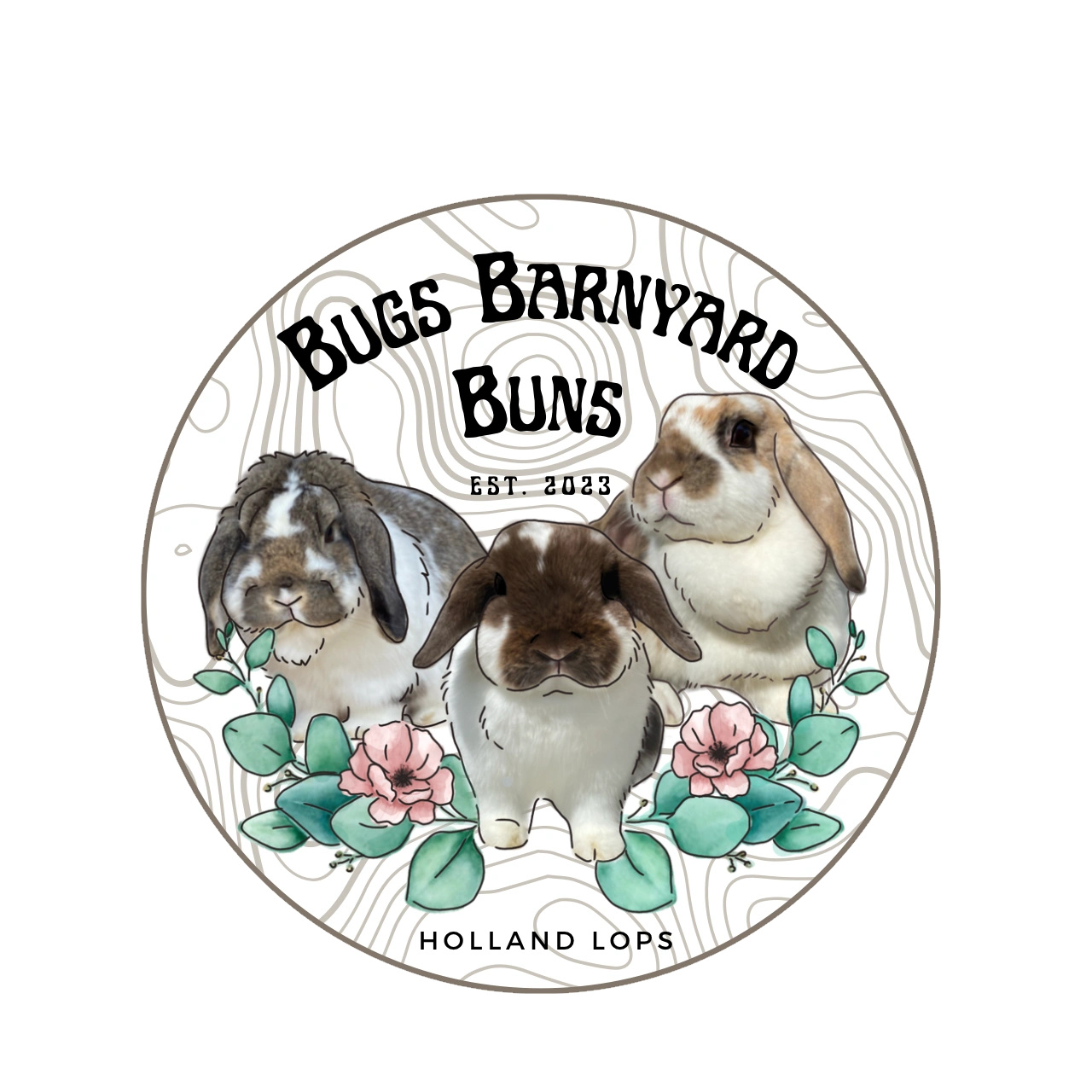 Care Guide | Bugs Barnyard Buns