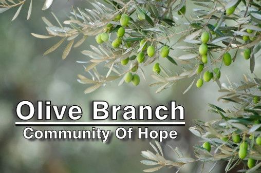 Olive Branch Community of Hope
