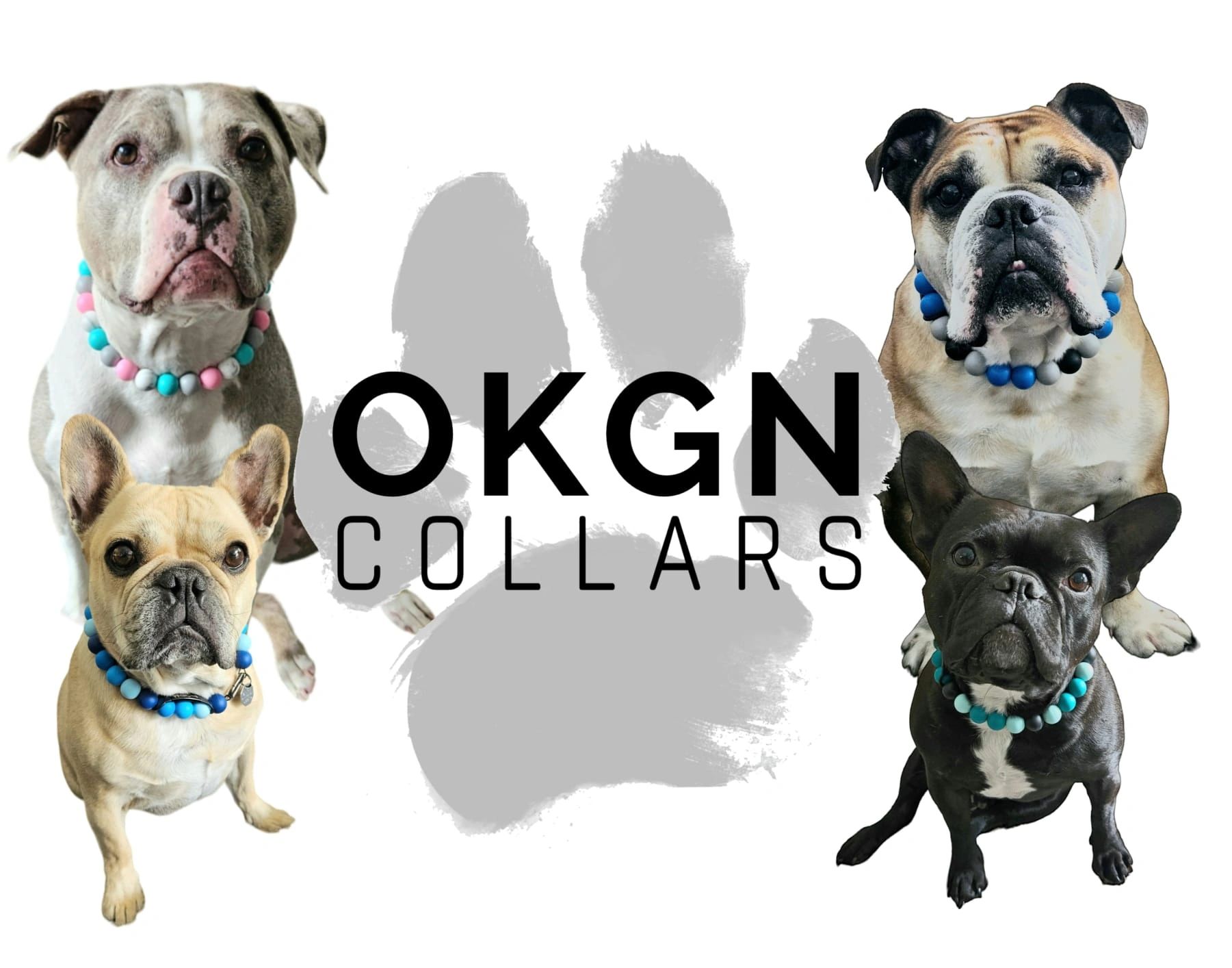 Online Store | OKGN Collars