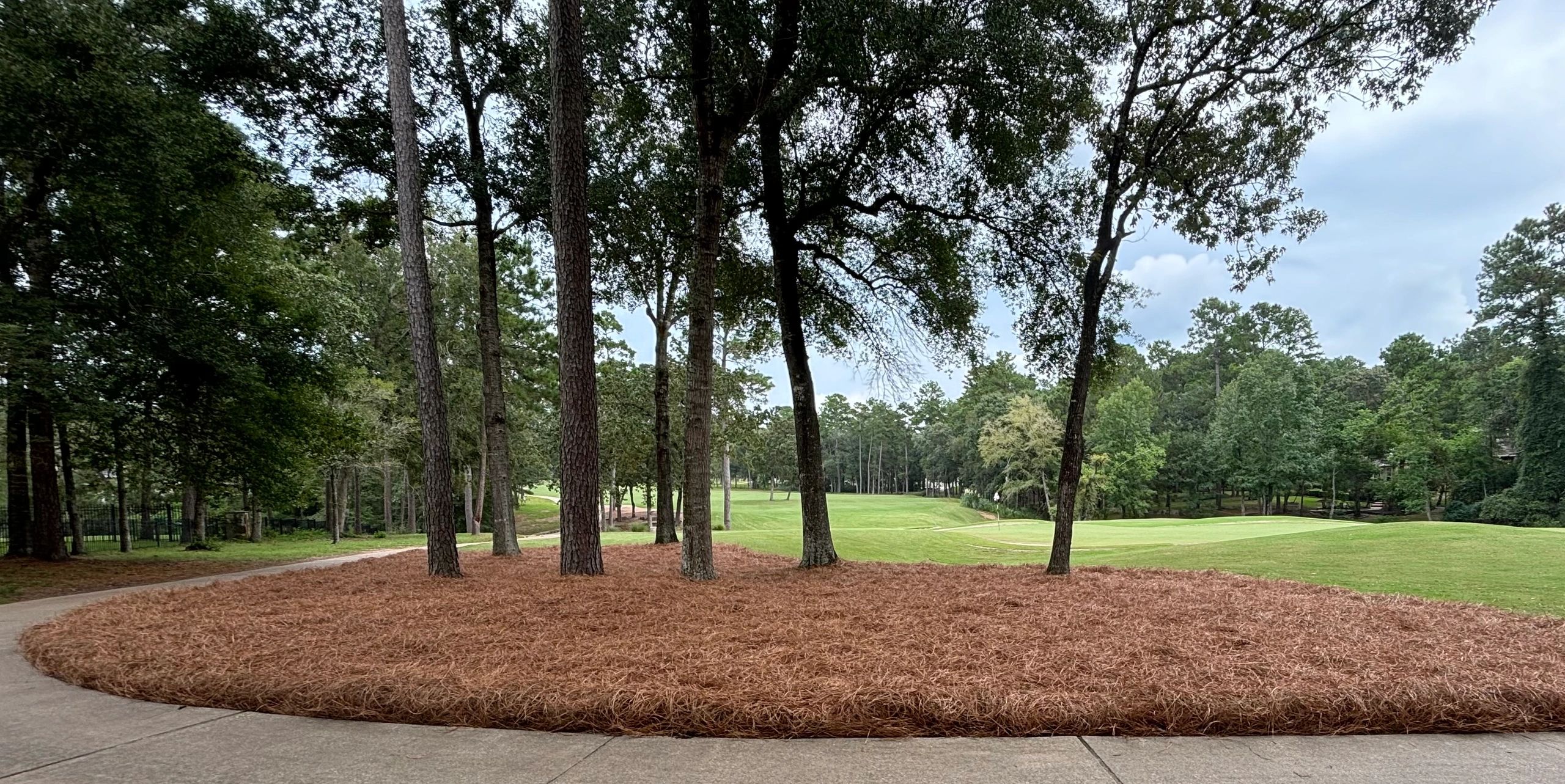 Texas A&M AgriLife Extension Study on Pine Straw Mulch