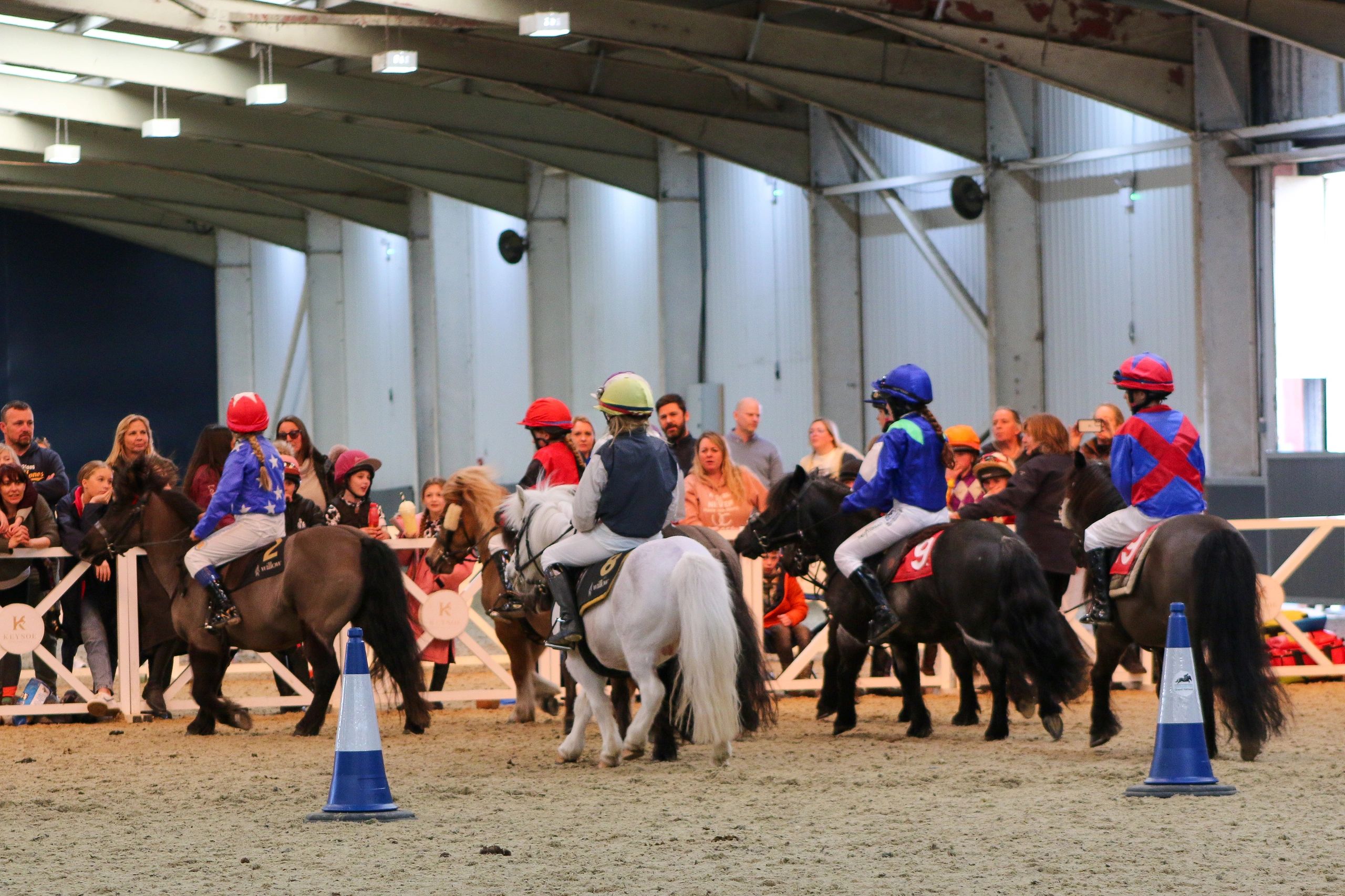 Shetland Pony Grand National - Home