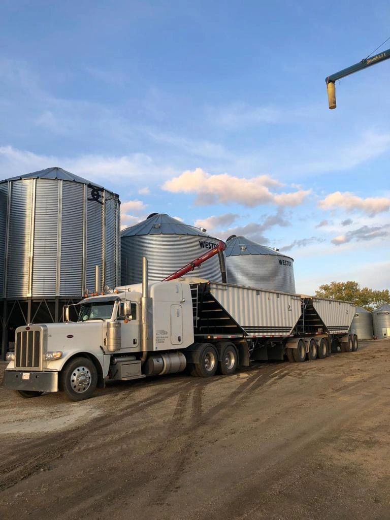 Bulk Transport - Trucking, Grain