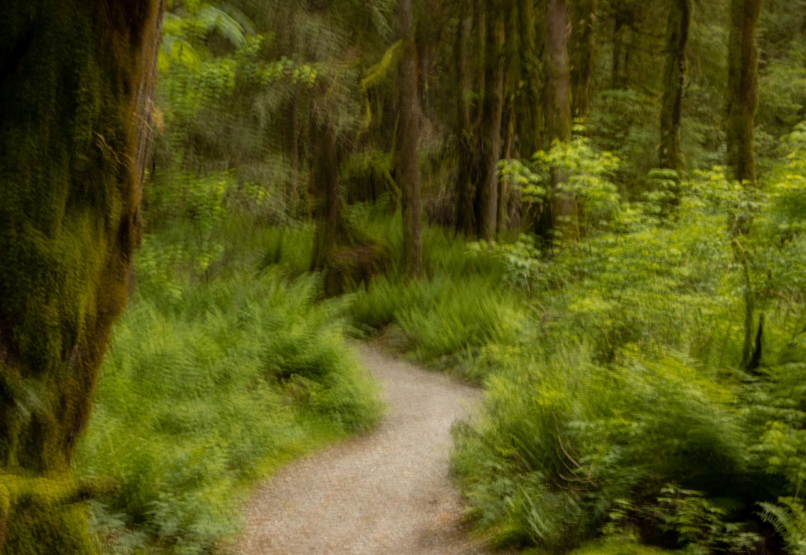 Nature Nerd Photography