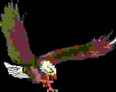 Products | Emergency Lighting & Electronics, LLC.