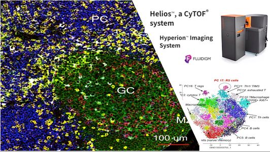 SironaDx - Clinical Service Lab, Immuno Oncology