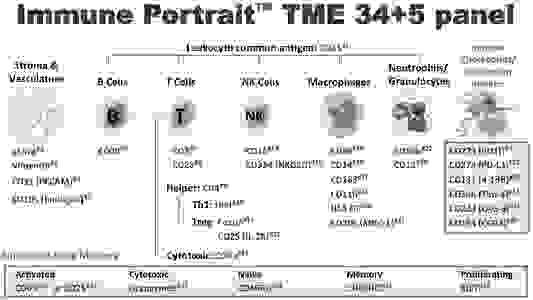 SironaDx - Clinical Service Lab, Immuno Oncology