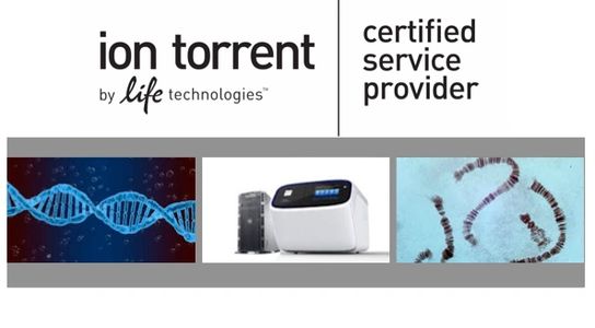 SironaDx - Clinical Service Lab, Immuno Oncology